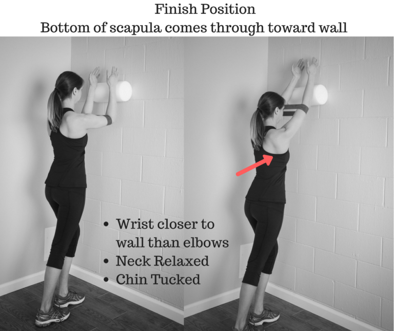 The Serratus Anterior: A Secret Weapon for Great Posture - Core ...