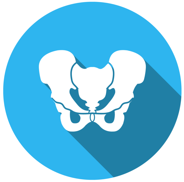 Pelvis Pro - Core Exercise Solutions