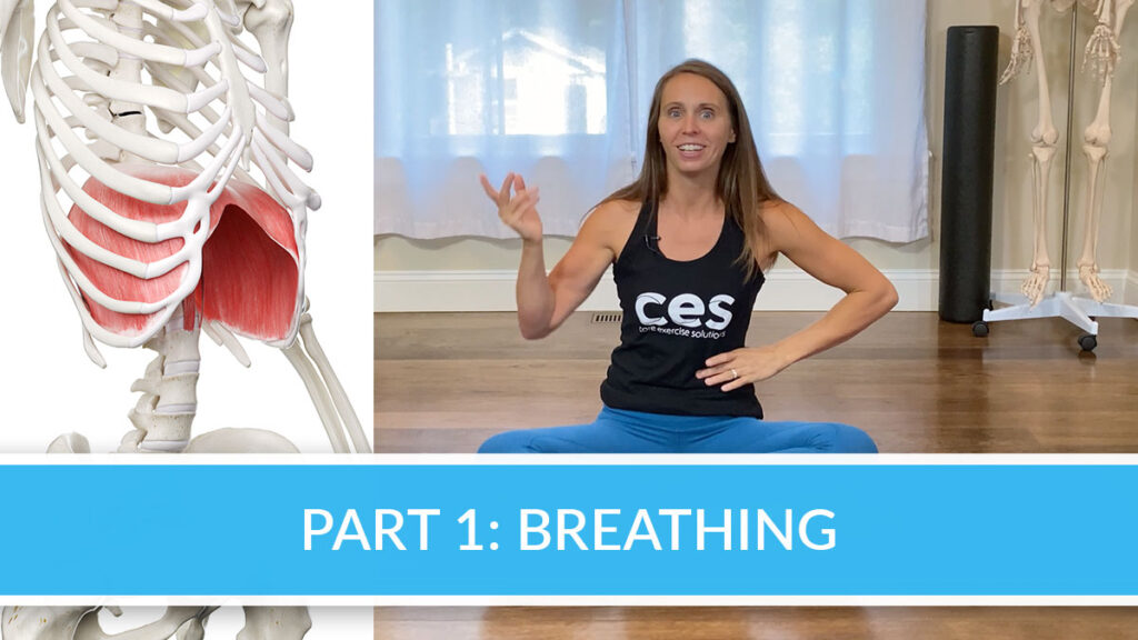 6-Part Minicourse Signup - Core Exercise Solutions