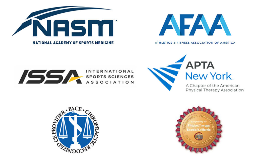 Pelvic Floor and Diastasis Recti Essentials - Core Exercise Solutions