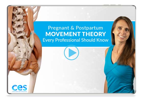 Plank with Knee Tucks: Increase Core Strength - Core Exercise Solutions