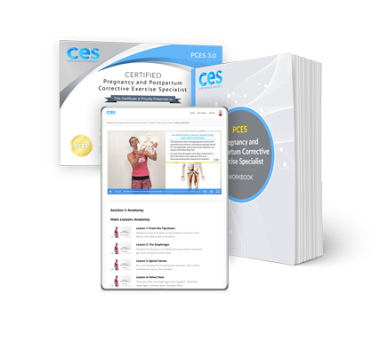 Pelvis Pro - Core Exercise Solutions