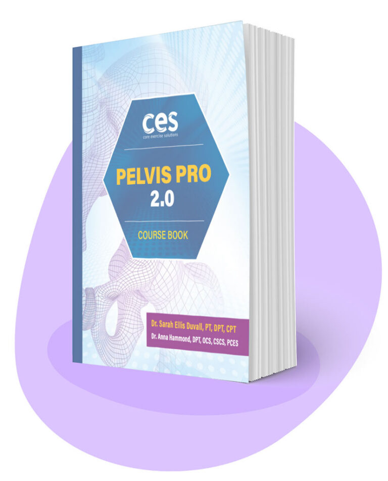 Pelvis Pro - Core Exercise Solutions